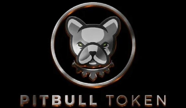 Pitbull (PIT) Coin Nedir, Nasıl Alınır, Nasıl Çalışır, Kurucusu Kim?